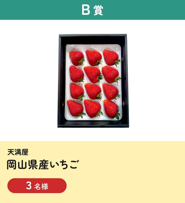 5ch視聴ポイントキャンペーン | KSB瀬戸内海放送